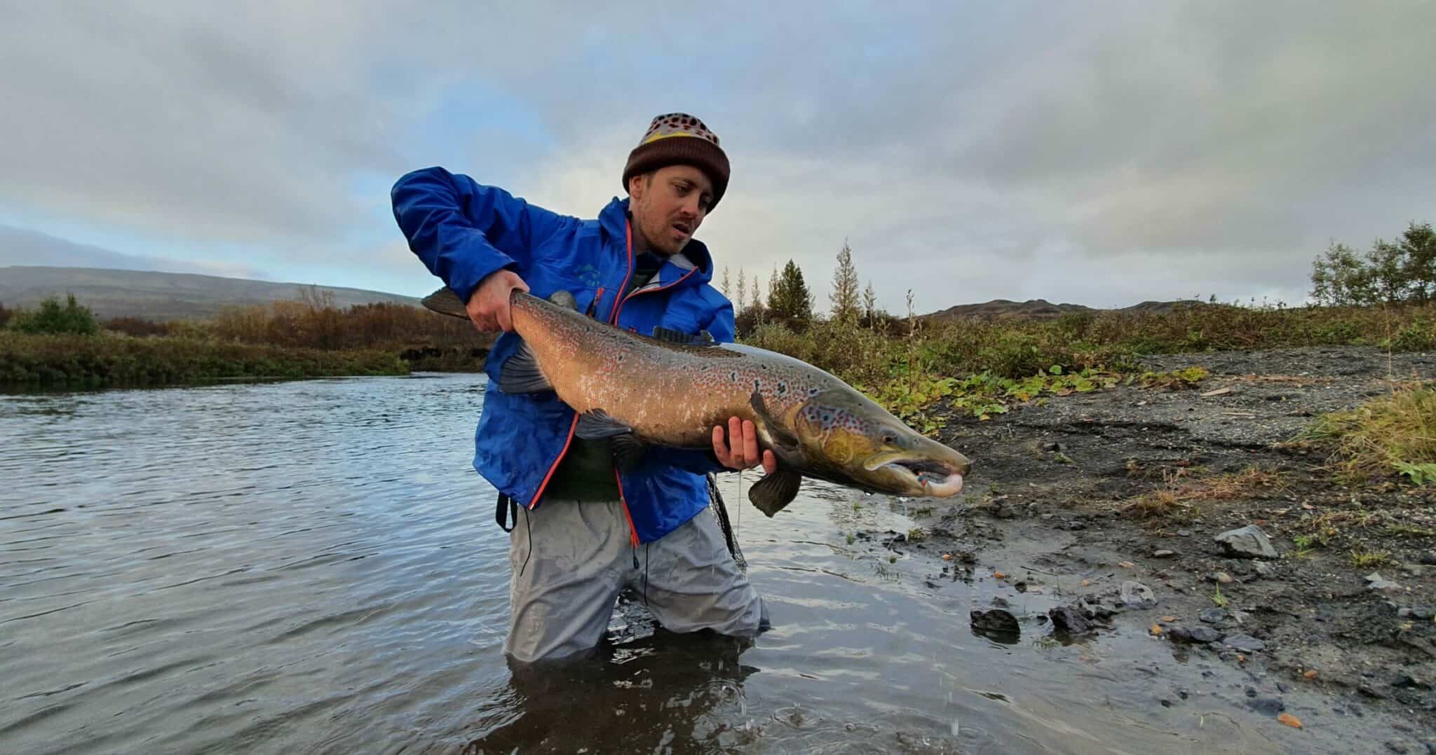 What species can you catch in Iceland? - Fish Partner