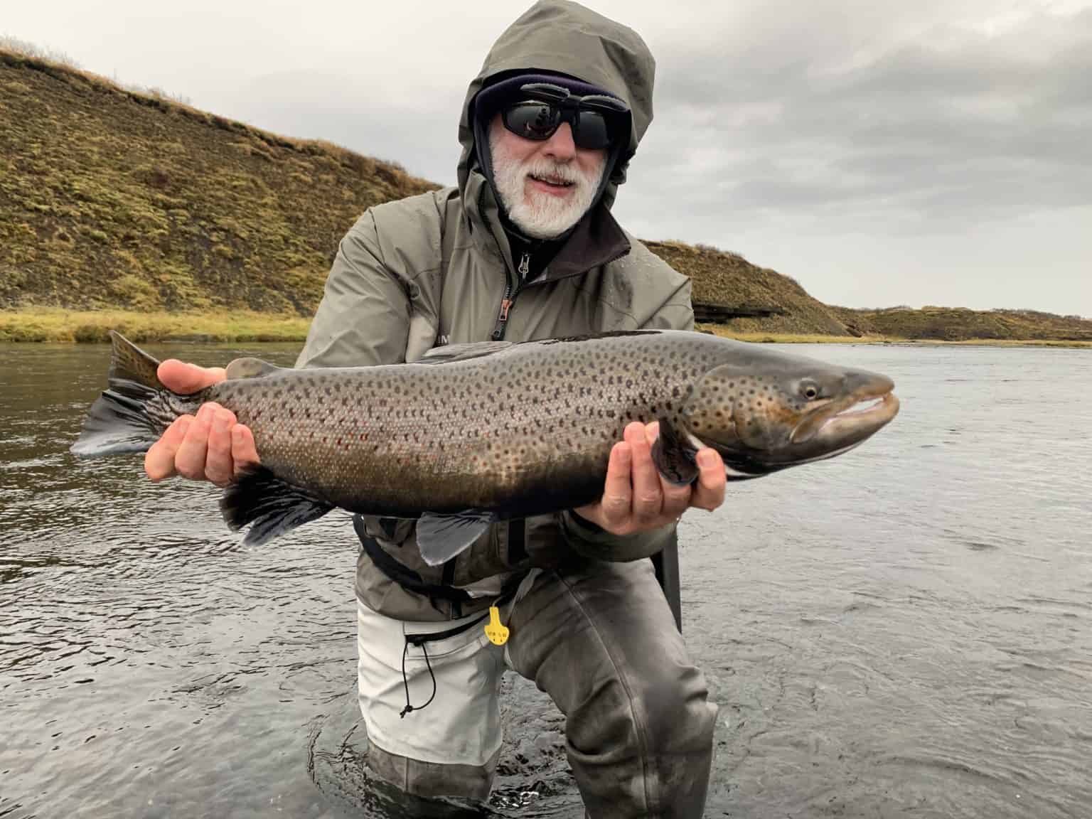 2021 in photos - Sea trout - Fish Partner Sea run brown trout