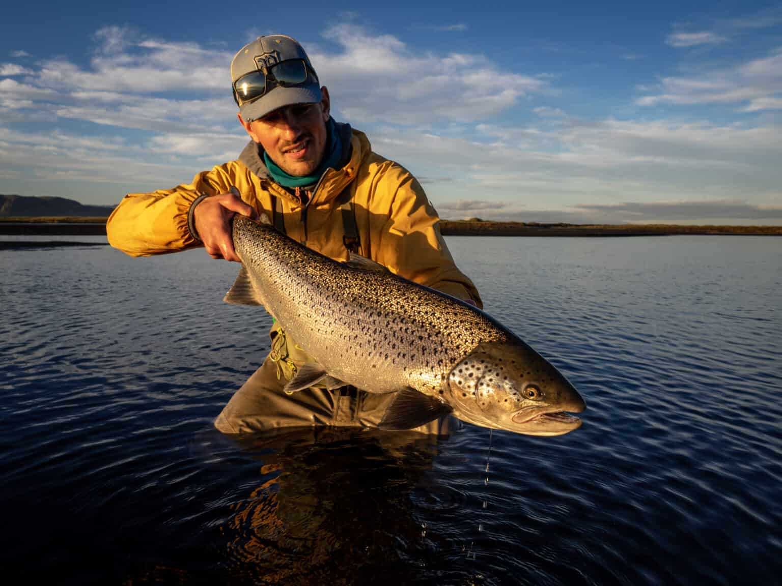 Battle Hill Lodge - Sea Run Brown Trout - Fish Partner
