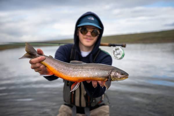 Arctic Char - Fish Partner - Fly Fishing in Iceland